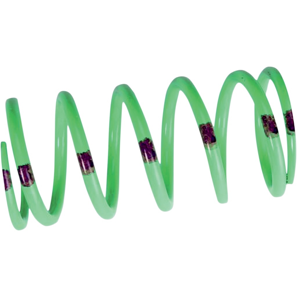 Venom Primary Clutch Spring - Parts Giant