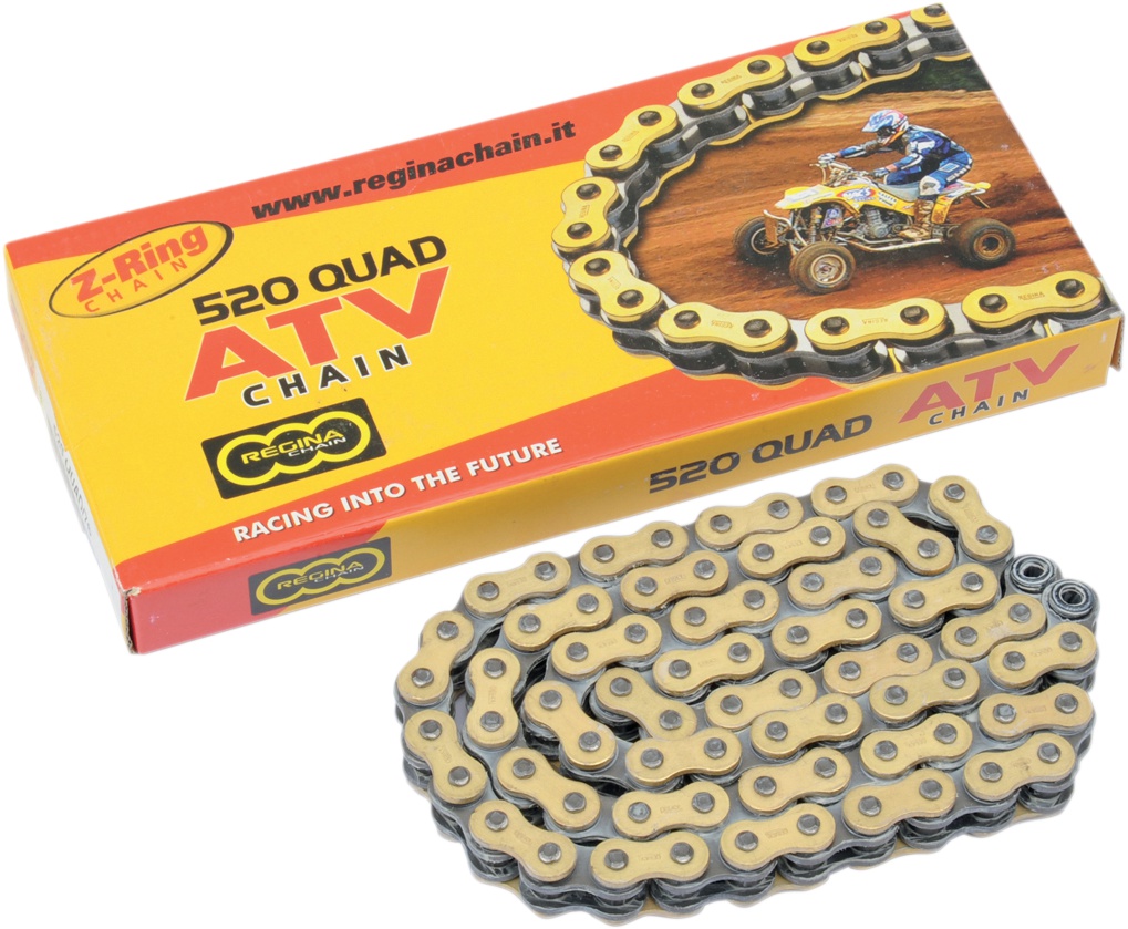 Regina Quad Series Z-Ring Chain - Parts Giant