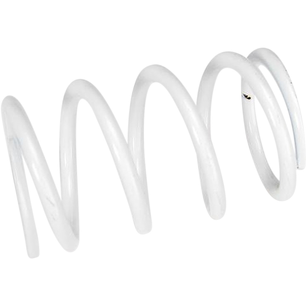 Venom Primary Clutch Spring - Parts Giant