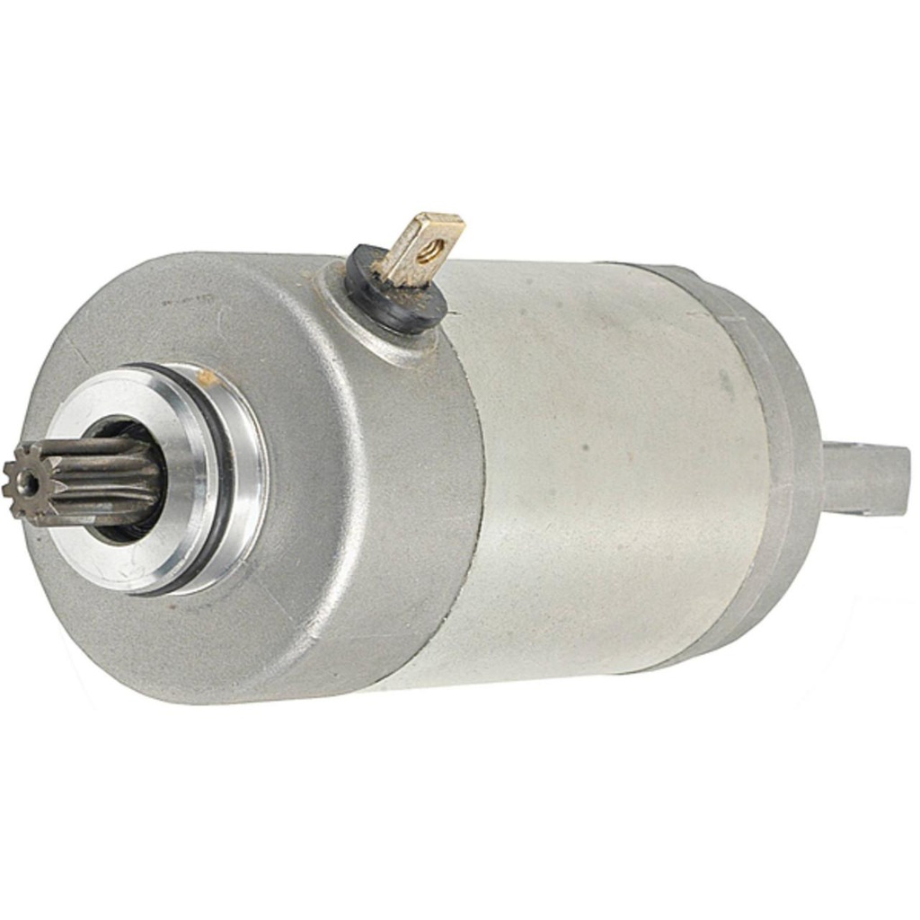Wild Boar Starter Motor - Parts Giant