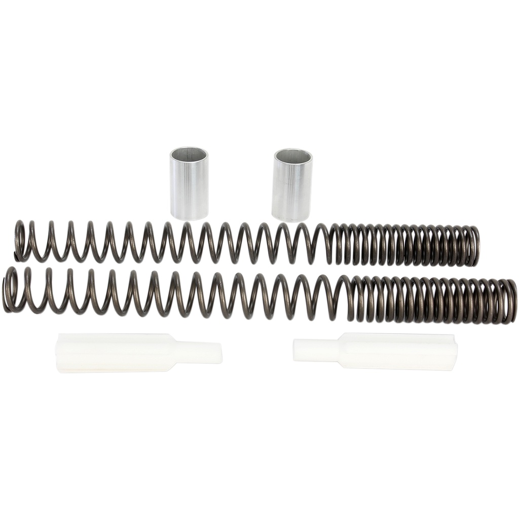 Progressive Fork Spring Kit - Parts Giant