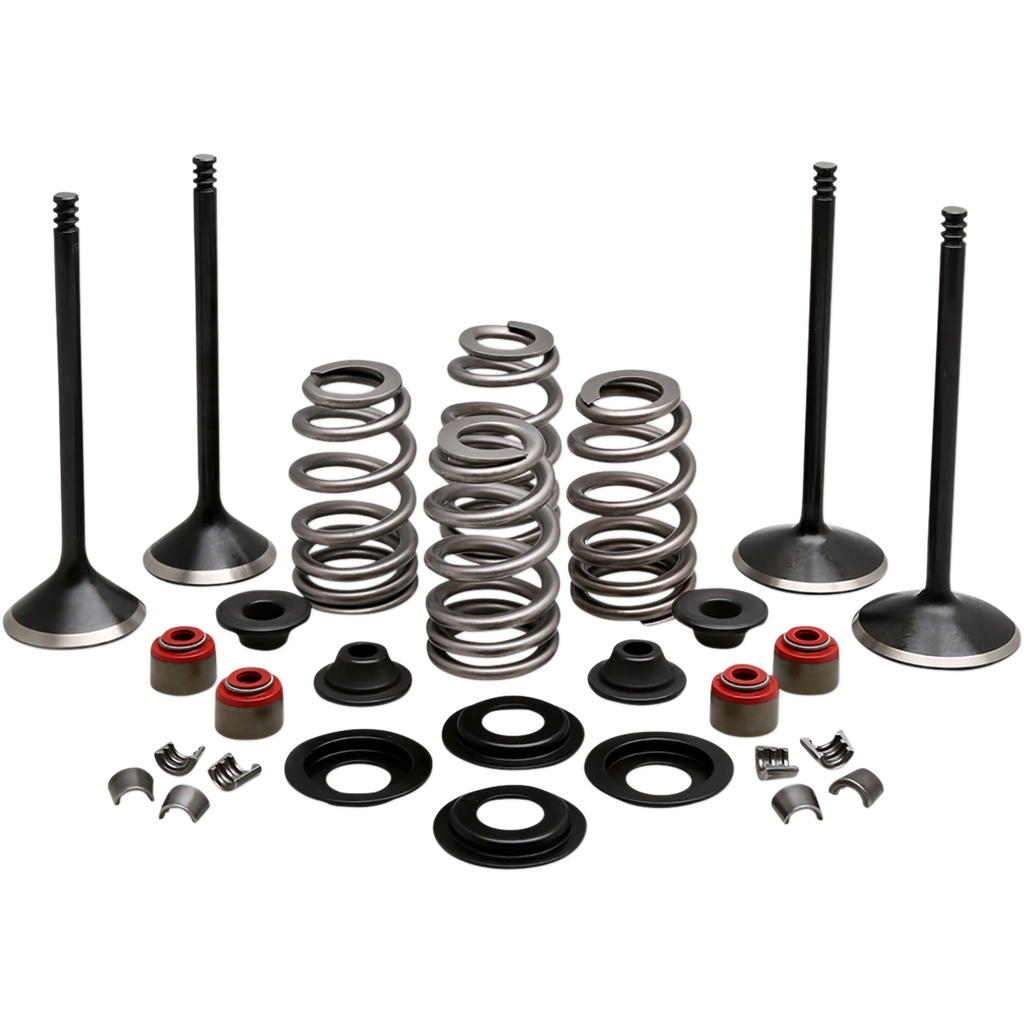 Kibblewhite Black Diamond Complete Engine Valve Kit - Parts Giant