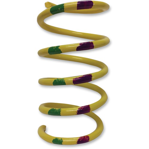 Venom Primary Clutch Spring - Parts Giant
