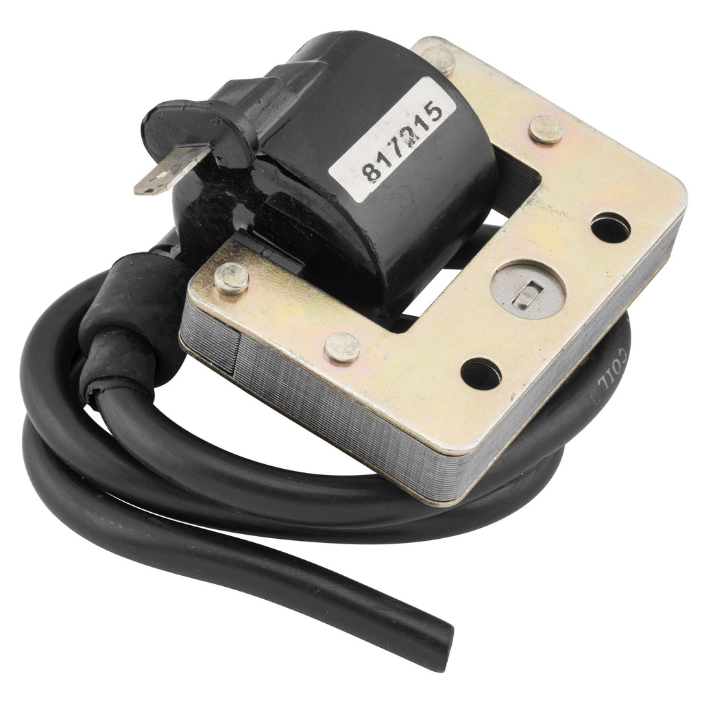 QuadBoss Universal Ignition Coil 6.5" for 6V/12V with Plug Wire - Parts ...