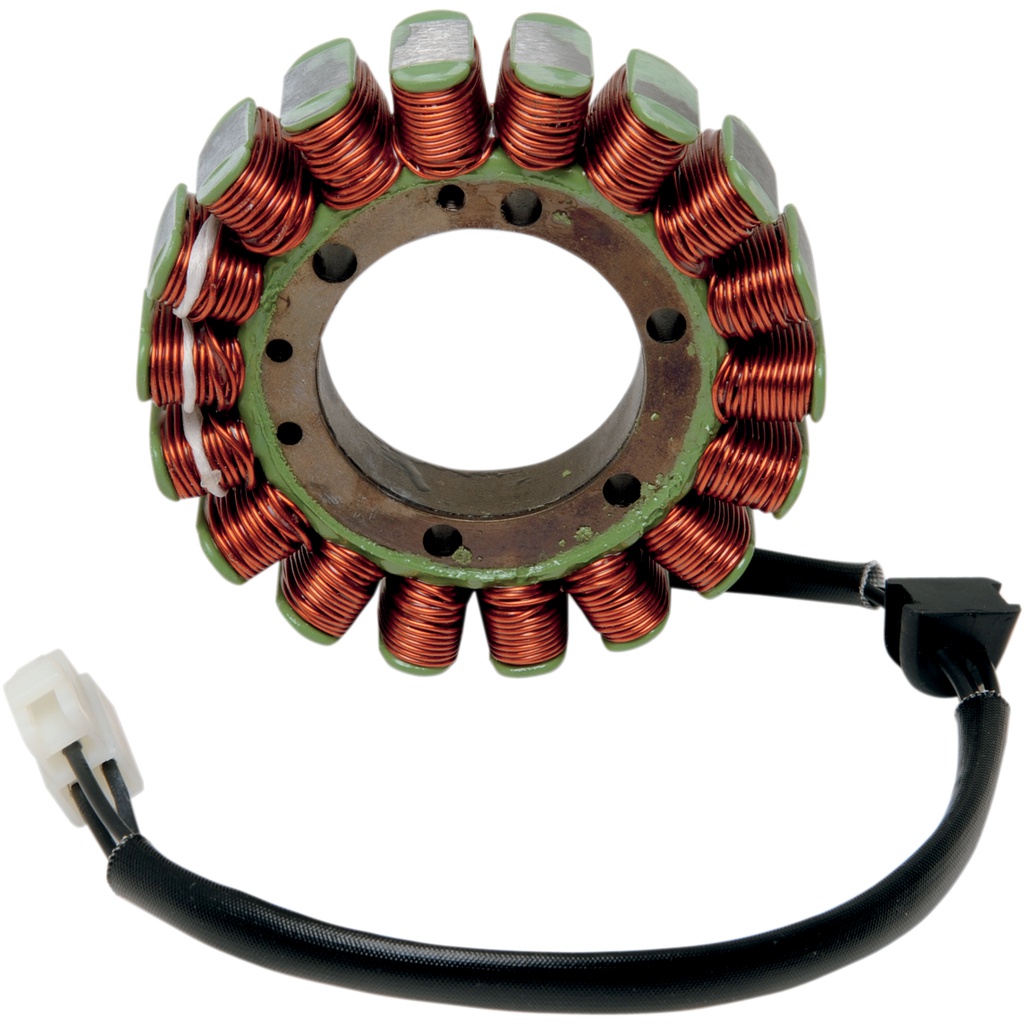 Rick's Motorsports Stator - Parts Giant