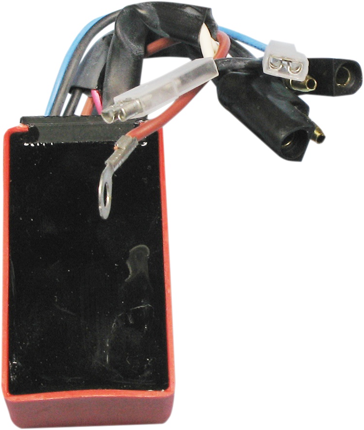 Rick's Motorsports CDI Box - Parts Giant