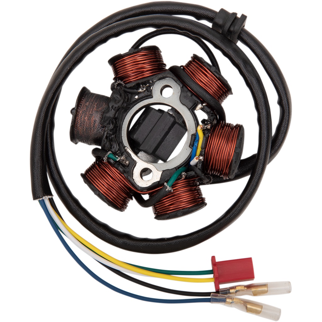 Rick's Motorsports Stator - Parts Giant