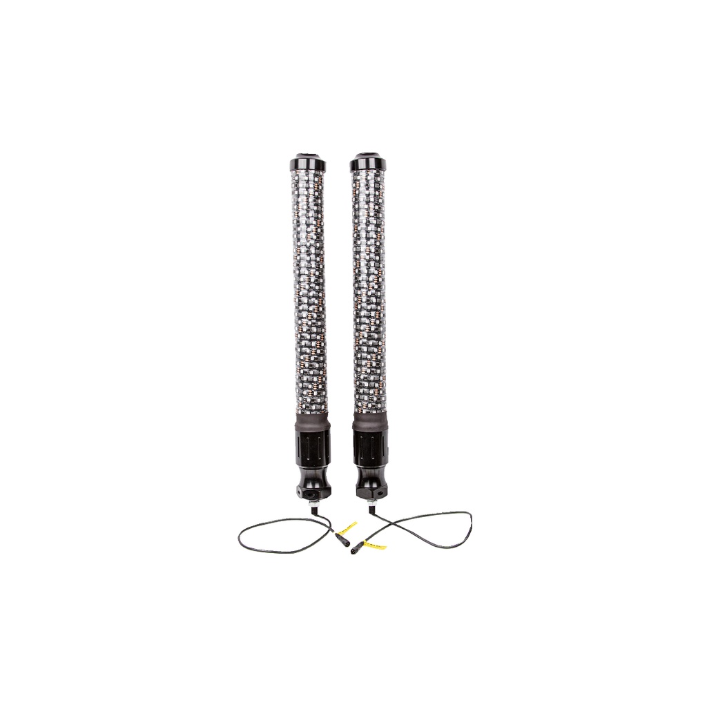 Whip It Big Eddy's LED Light Rod 2 Ft. - Parts Giant