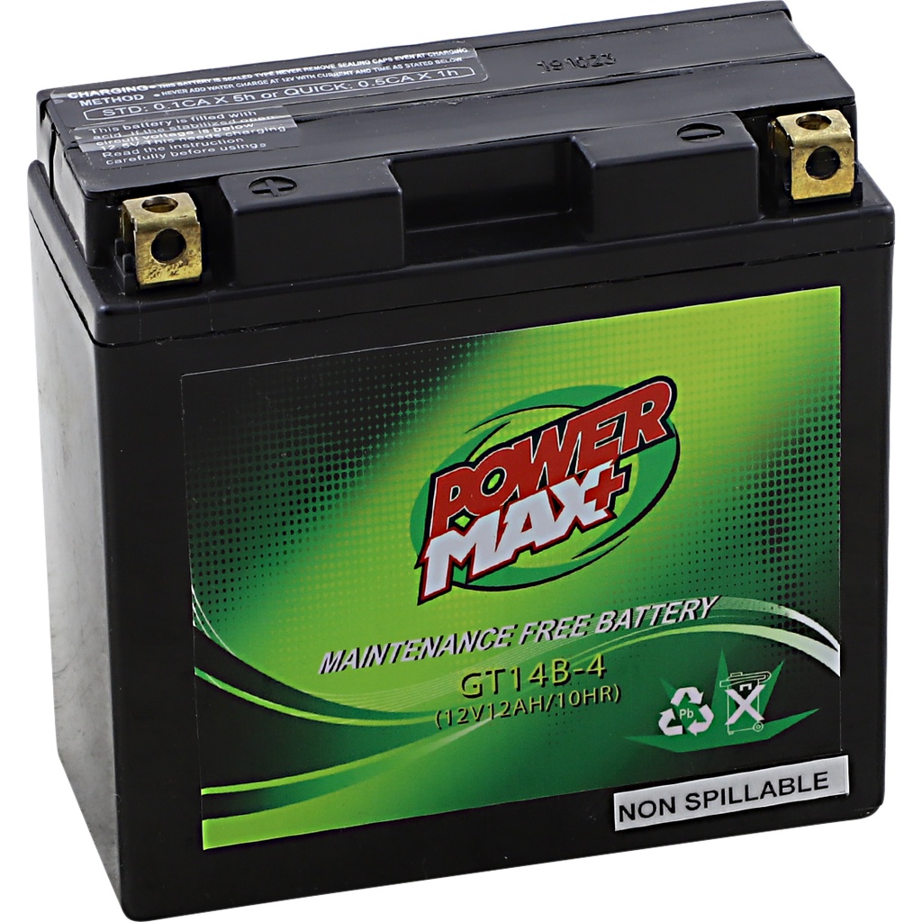 Power Max Maintenance-Free Battery - Parts Giant