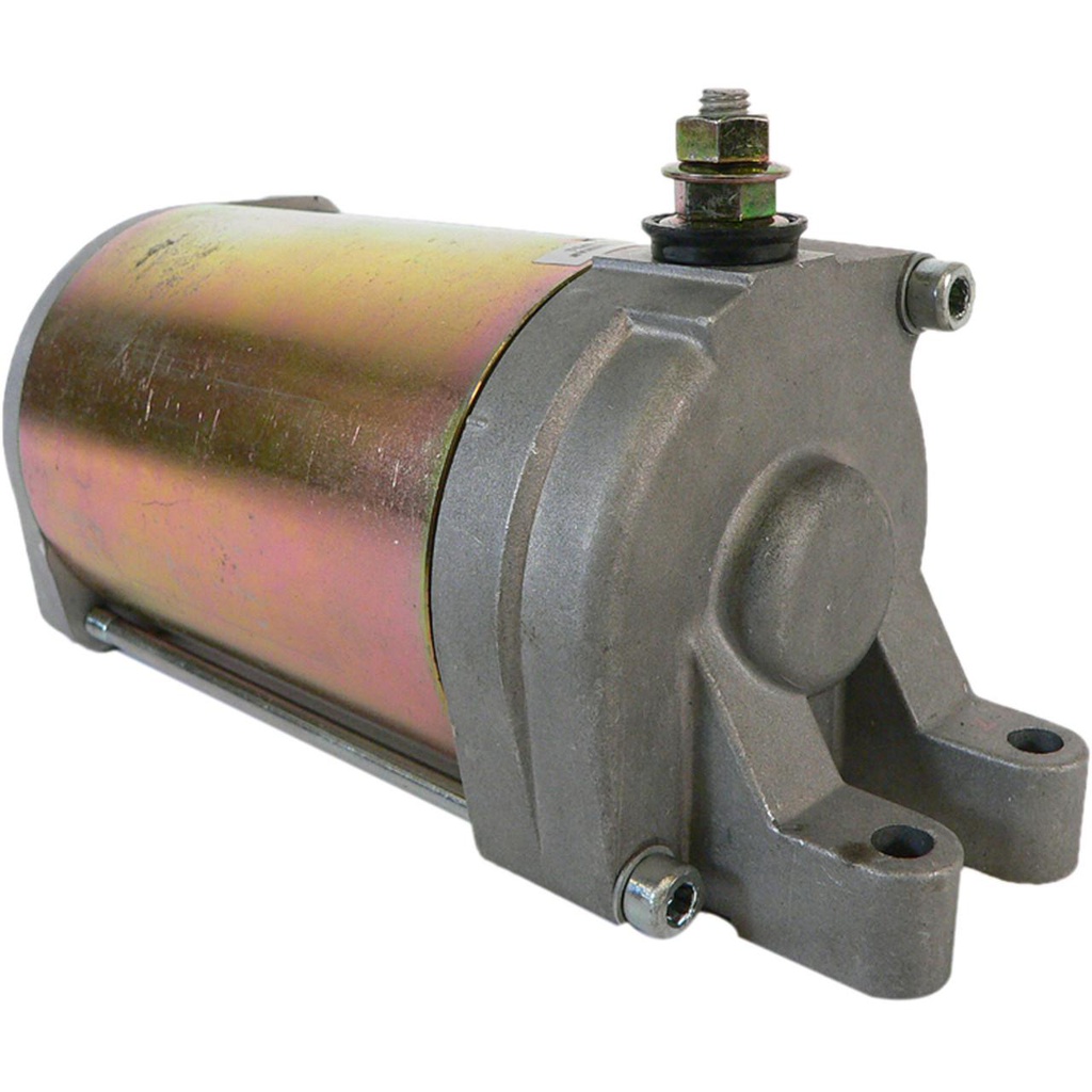 Wild Boar Starter Motor - Parts Giant