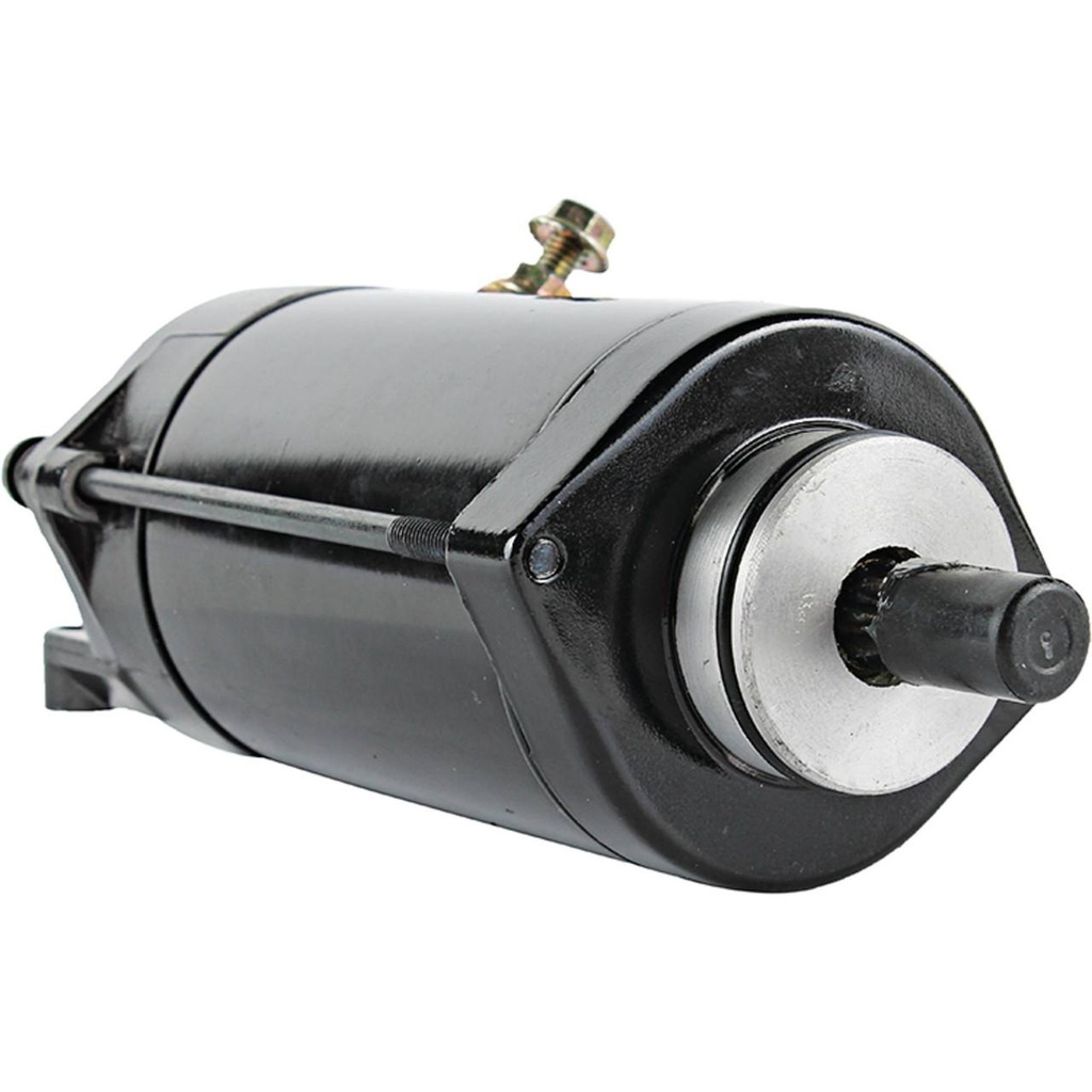 Wild Boar Starter Motor - Parts Giant