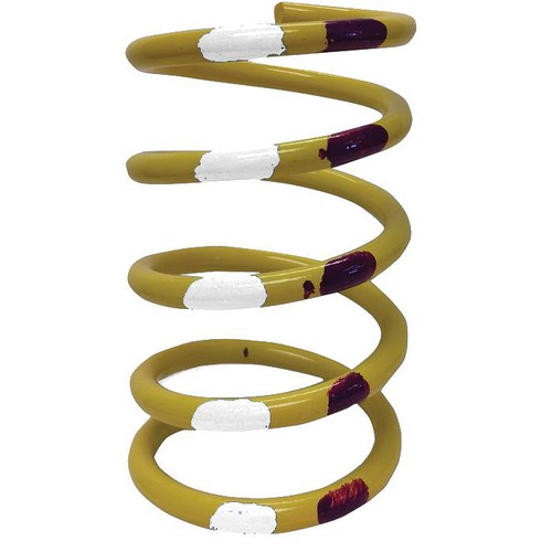 Venom Primary Clutch Spring - Parts Giant