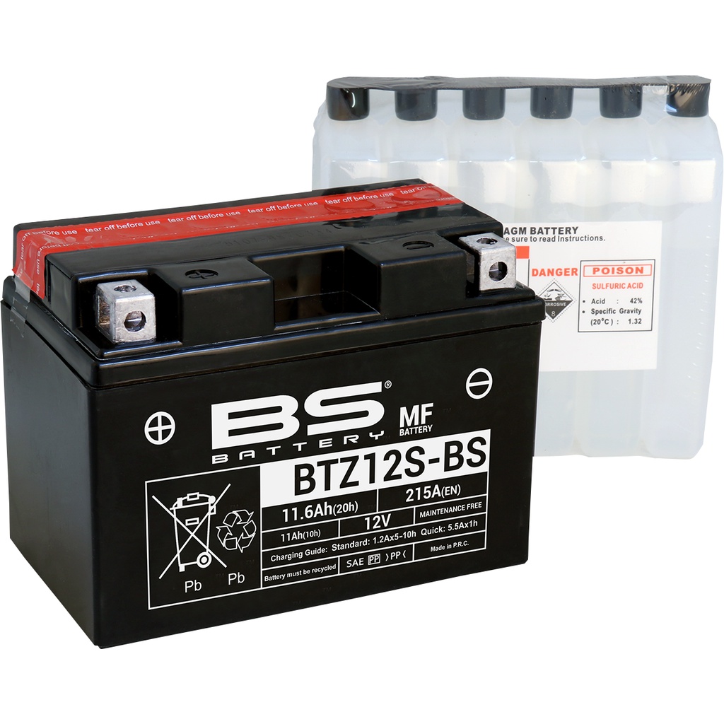 BS Battery Maintenance Free Battery - Parts Giant