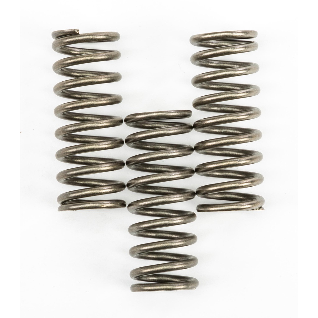 EBC CSK Clutch Springs - Parts Giant