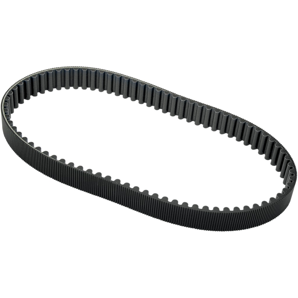 BDL Primary Belt - Parts Giant