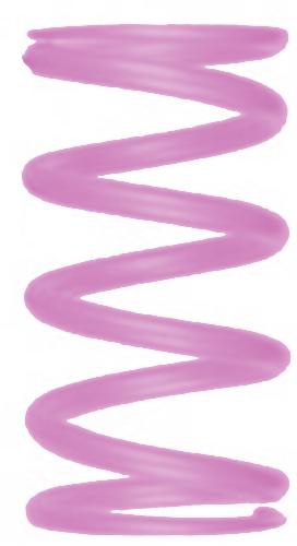 Venom Primary Clutch Spring - Parts Giant