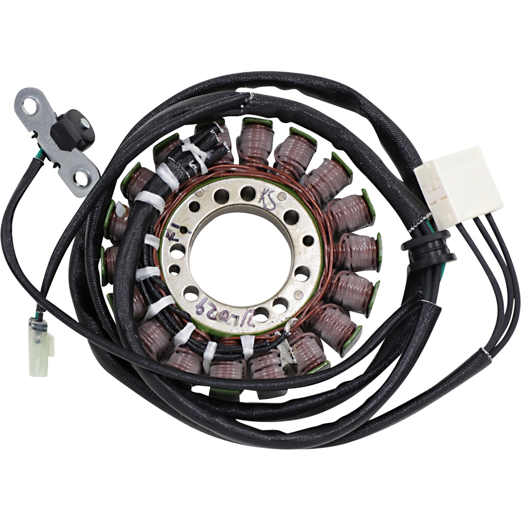 Rick's Motorsports Stator - Parts Giant
