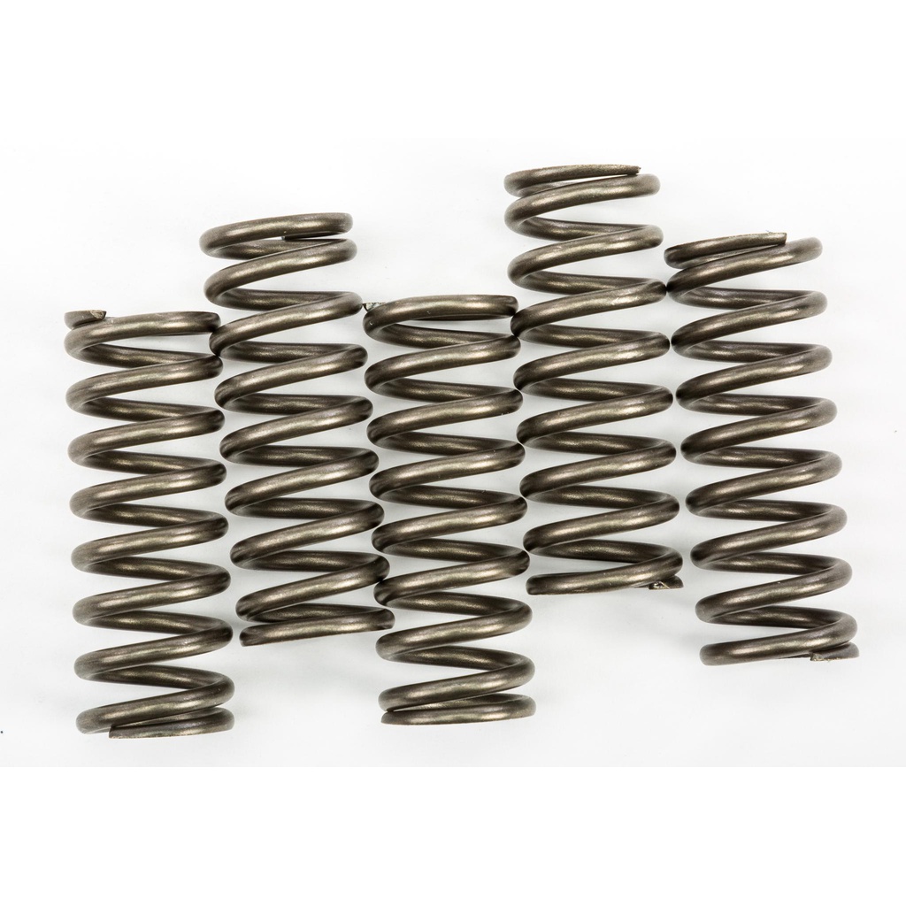 EBC CSK Clutch Springs - Parts Giant