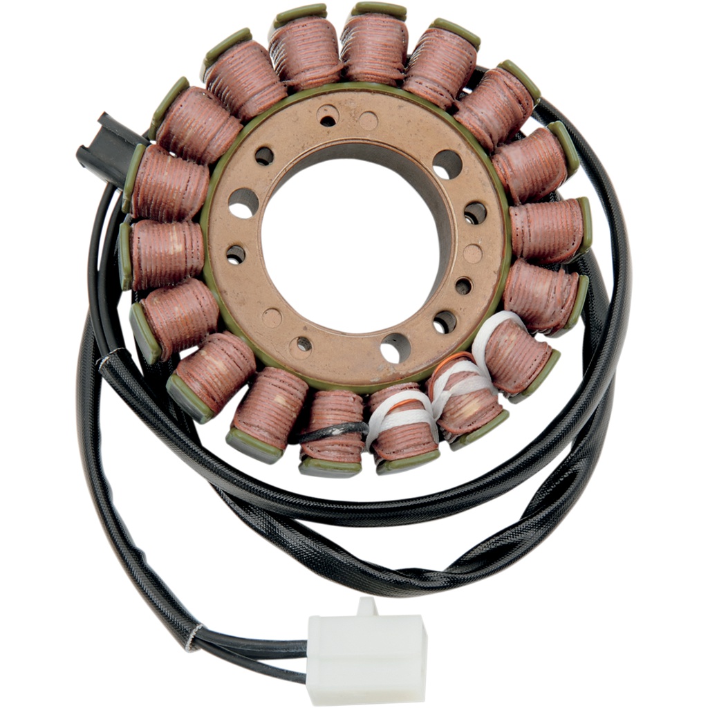 Rick's Motorsports Stator - Parts Giant