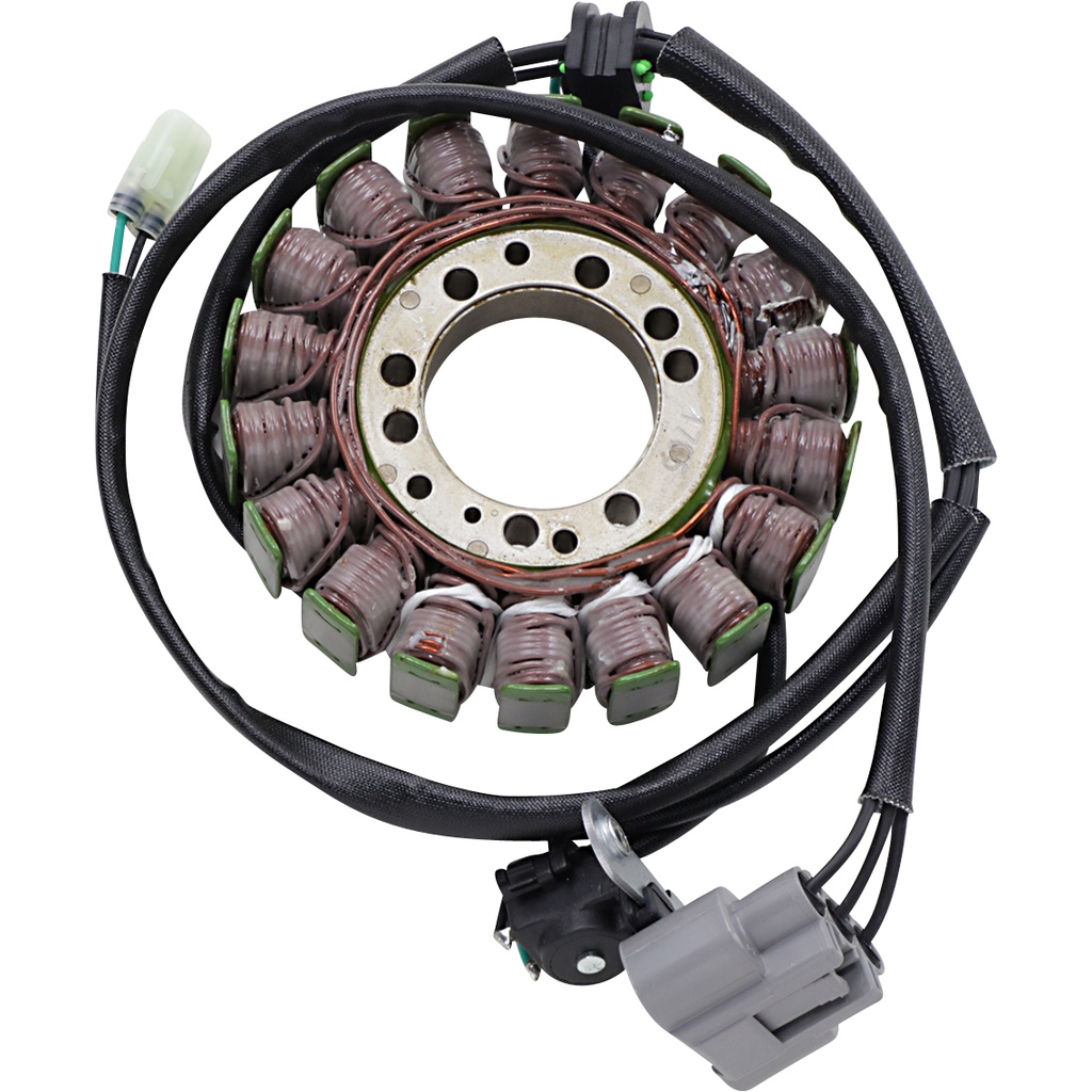 Rick's Motorsports Stator - Parts Giant