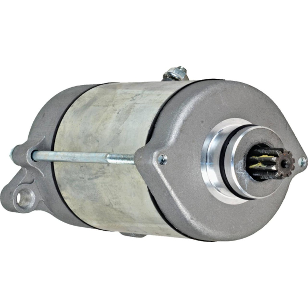 Wild Boar Starter Motor - Parts Giant
