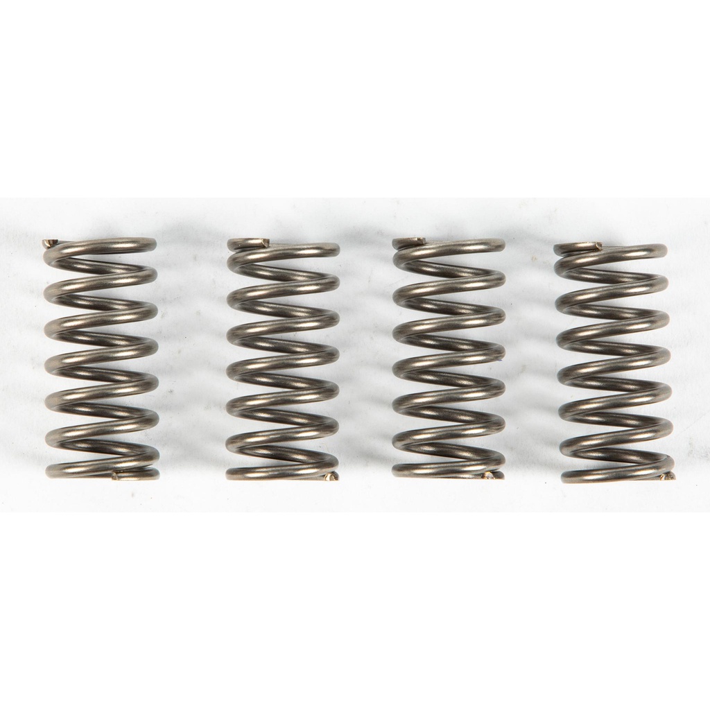 EBC CSK Clutch Springs - Parts Giant