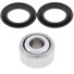 All Balls Shock Bearing Kit - Parts Giant