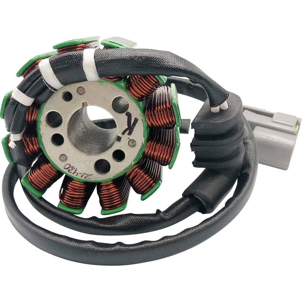 Rick's Motorsports Stator - Parts Giant