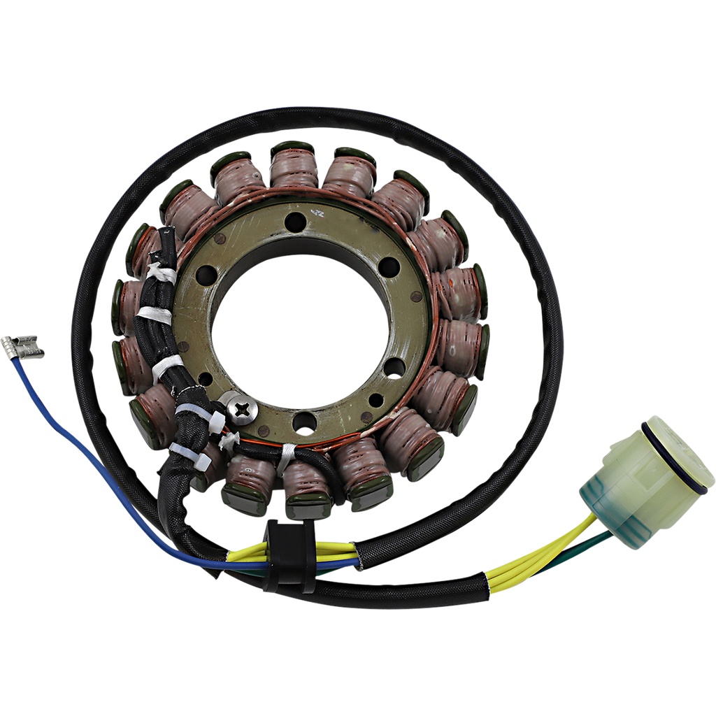 Rick's Motorsports Stator - Parts Giant