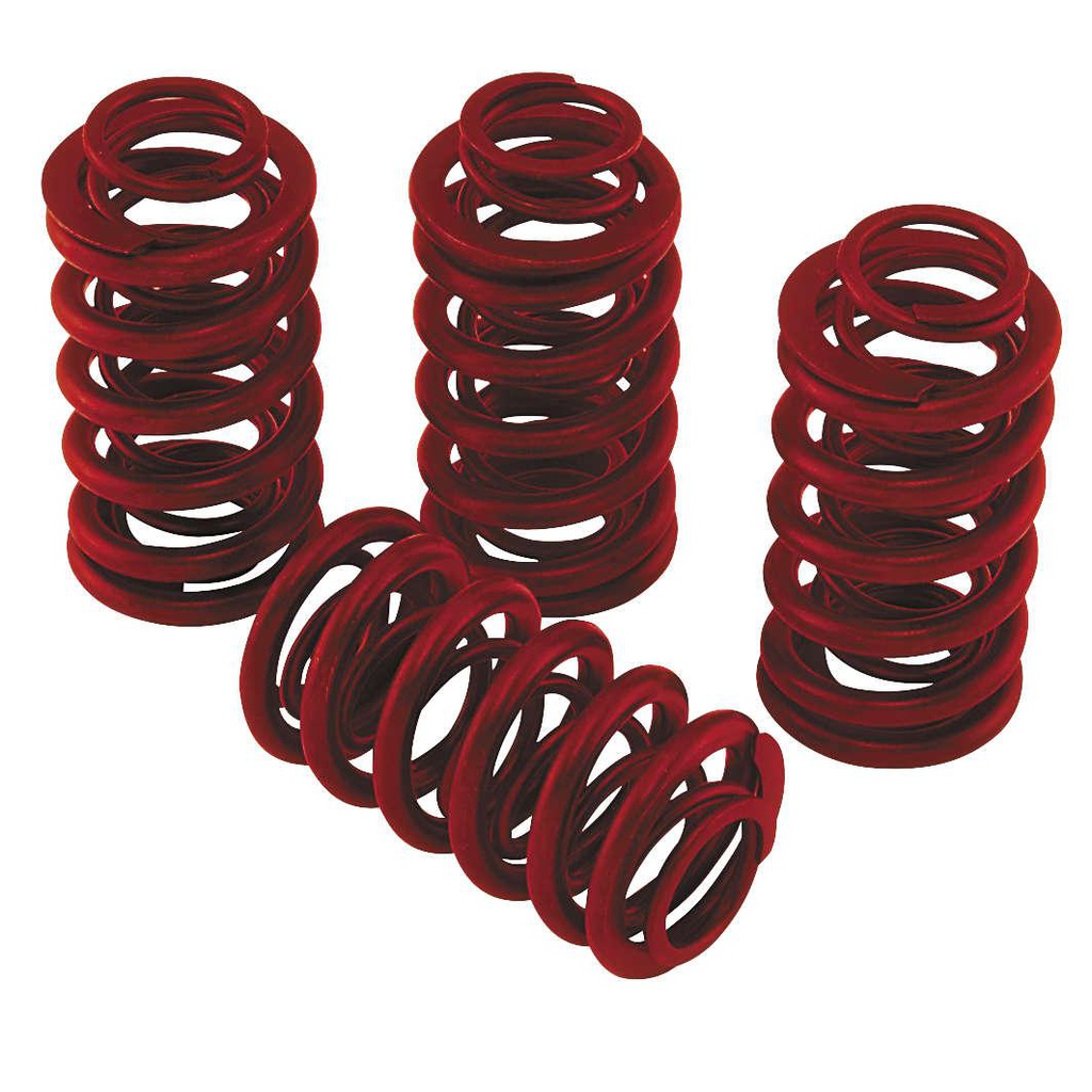 Andrews High-Lift Valve Springs - Parts Giant