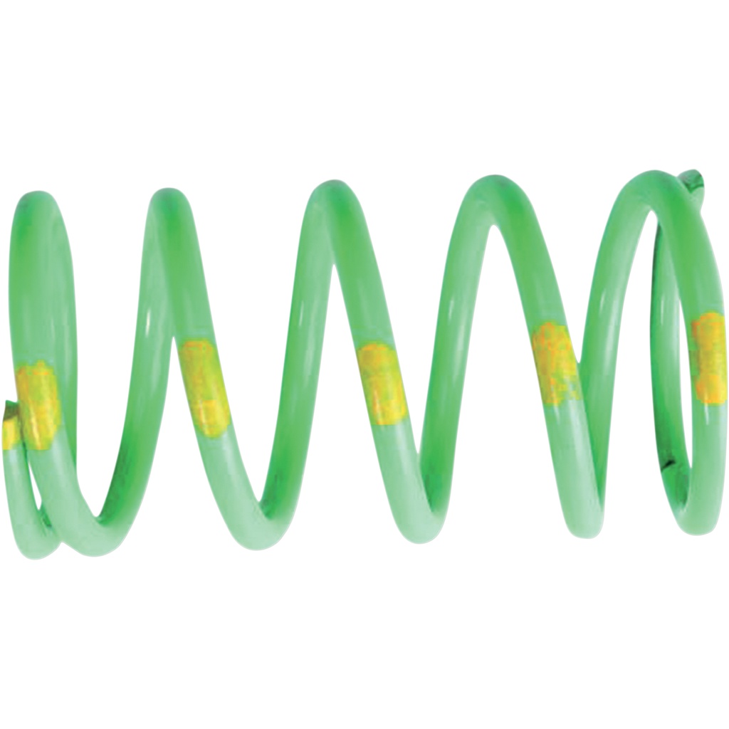 Venom Primary Clutch Spring - Parts Giant