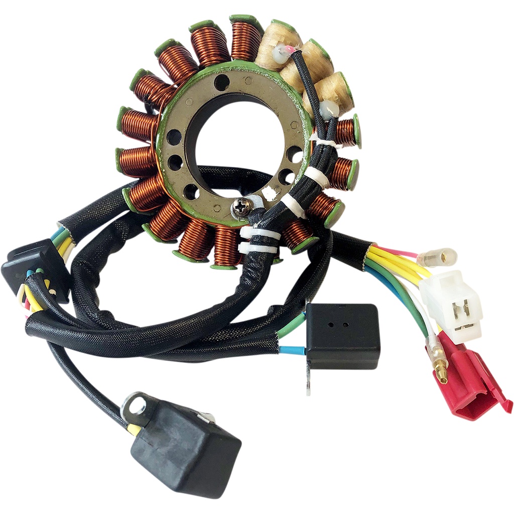 Rick's Motorsports Stator - Parts Giant