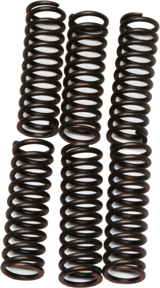 EBC CSK Clutch Springs - Parts Giant