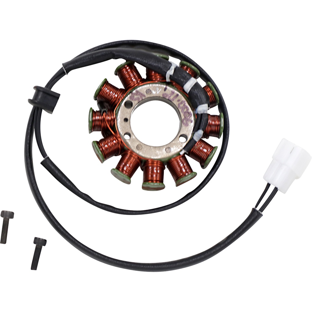 Rick's Motorsports Stator - Parts Giant