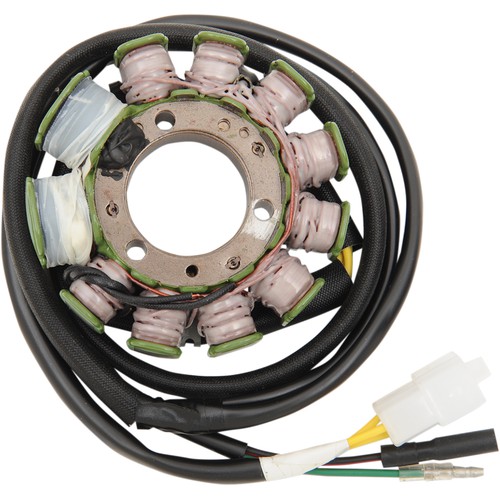 Rick's Motorsports Stator - Parts Giant