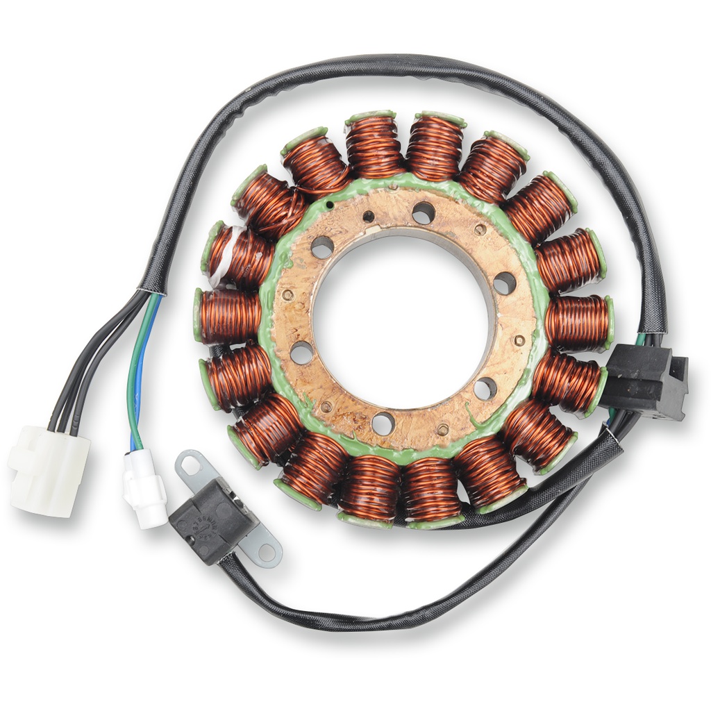 Rick's Motorsports Stator - Parts Giant