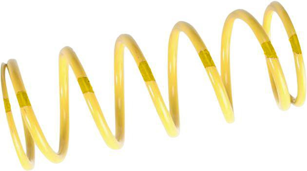 Venom Primary Clutch Spring - Parts Giant