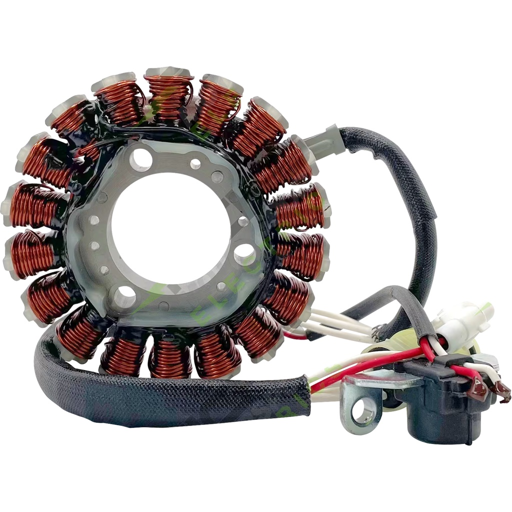 Rick's Motorsports Stator - Parts Giant