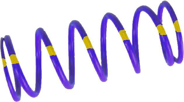 Venom Primary Clutch Spring - Parts Giant