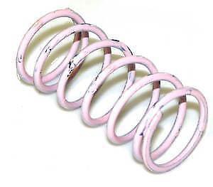 Comet Clutch Spring - Parts Giant