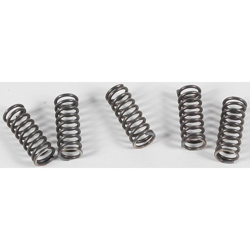 EBC CSK Clutch Springs - Parts Giant