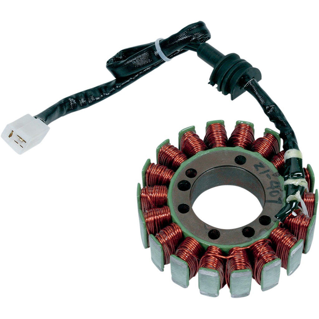 Rick's Motorsports Stator - Parts Giant