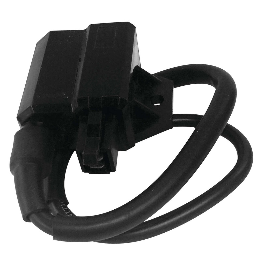 Rick's Motorsports Ignition Coil - Parts Giant