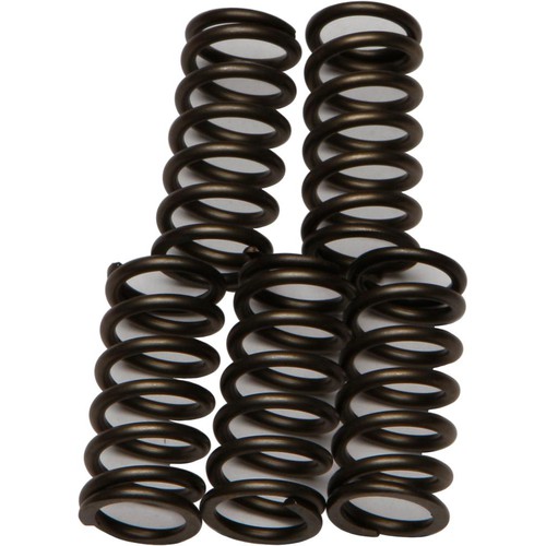 EBC CSK Clutch Springs - Parts Giant
