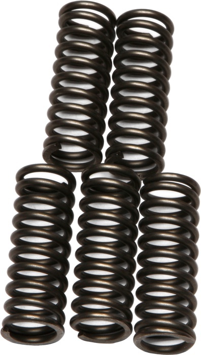 EBC CSK Clutch Springs - Parts Giant