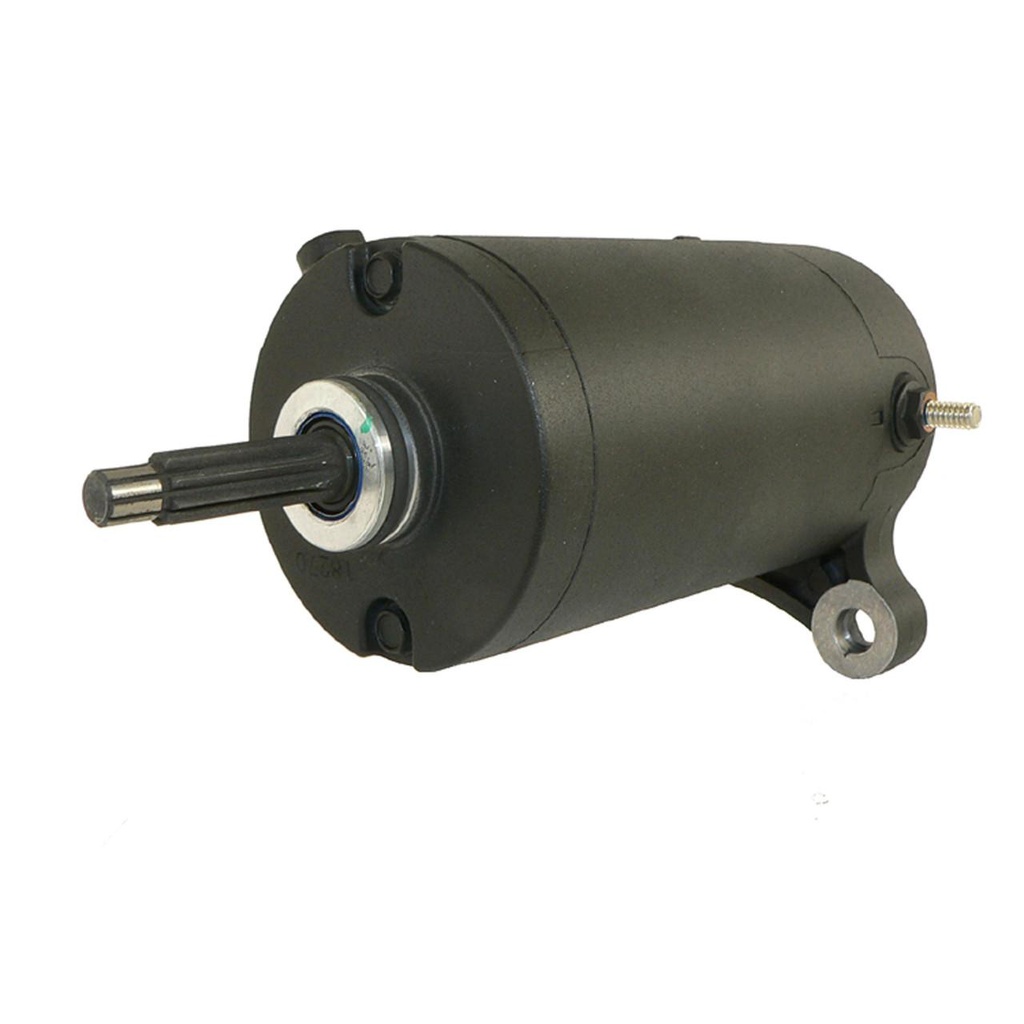 Wild Boar Starter Motor - Parts Giant