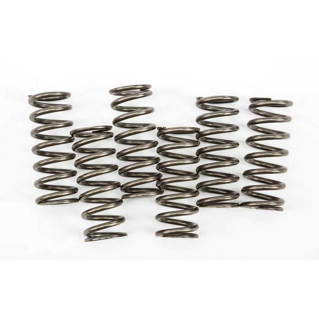 EBC CSK Clutch Springs - Parts Giant