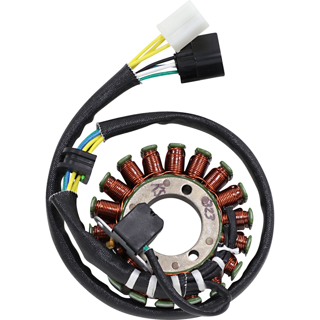 Rick's Motorsports Stator - Parts Giant