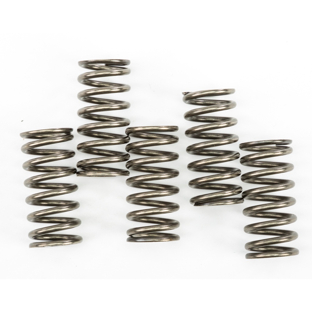 EBC CSK Clutch Springs - Parts Giant